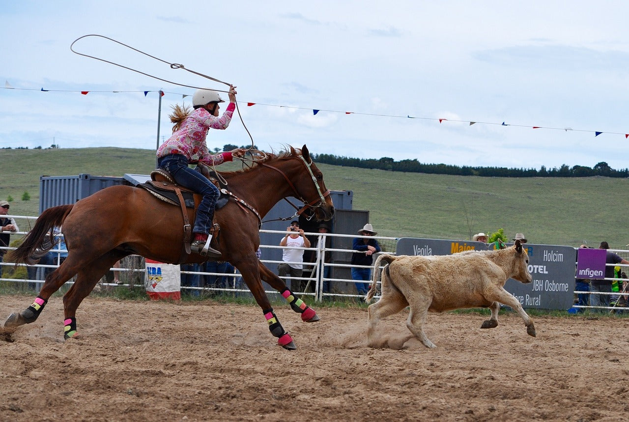 10 Things to Consider When Designing a Rodeo Arena Layout ...