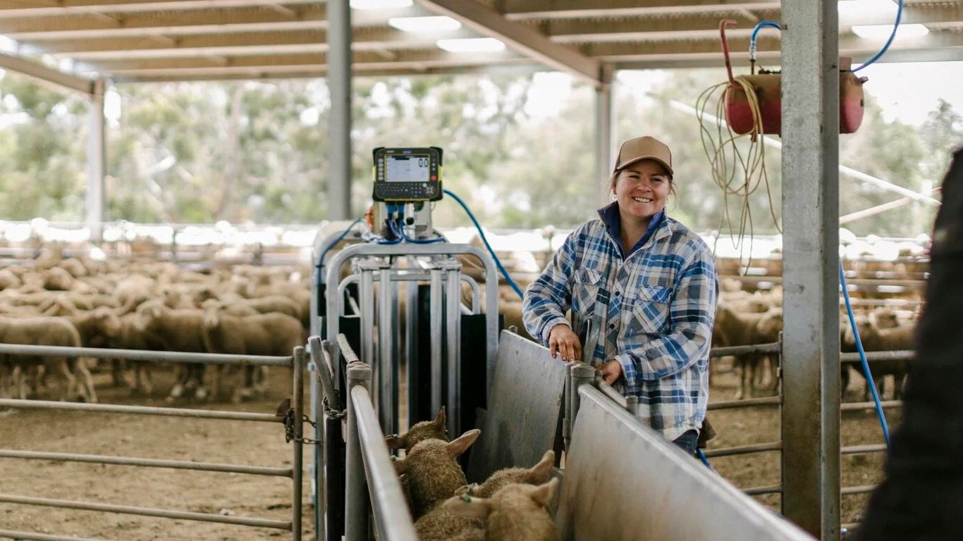Livestock Scales & Weighing Systems | Portable Scale – farmranchstore.com