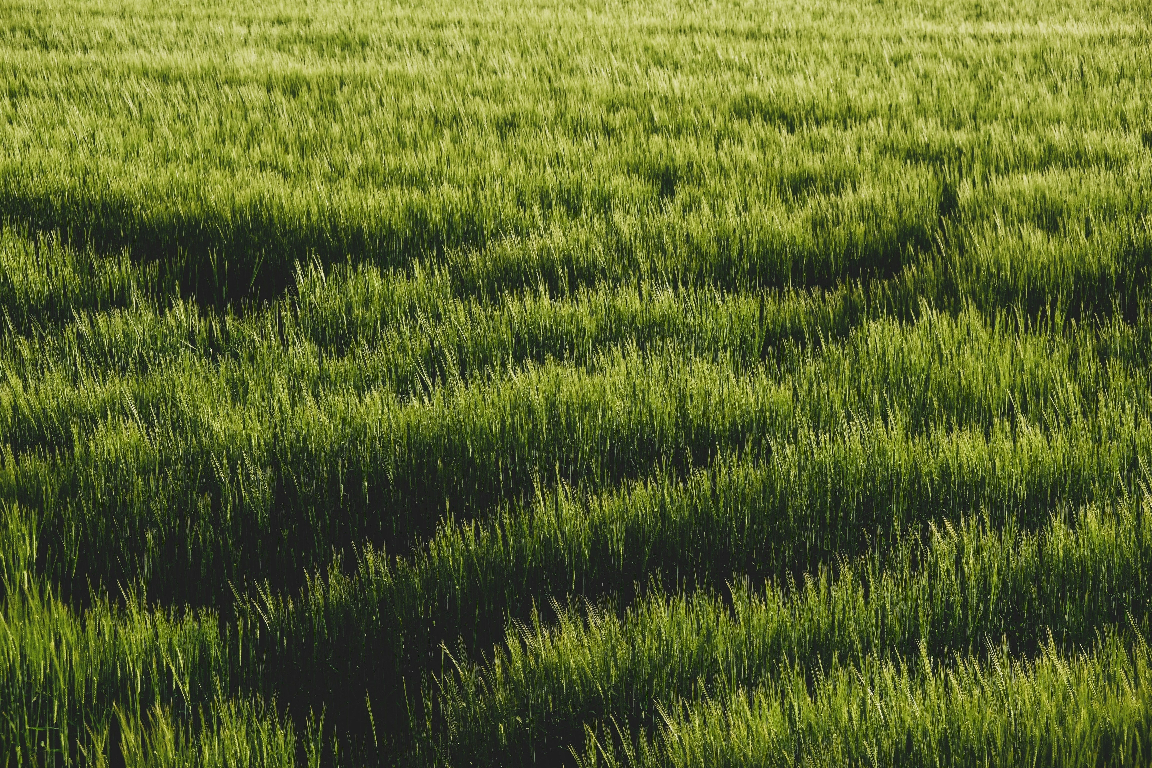 Ranching Implements - Blades, Harrows, Graders – tagged "Cutter ...
