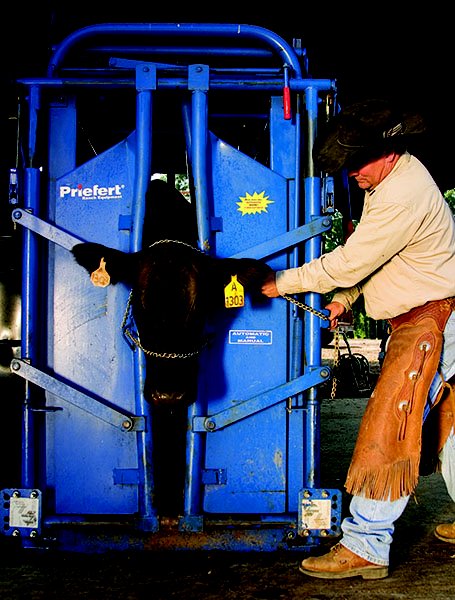 Squeeze Chute - Model 04 - S04 – farmranchstore.com
