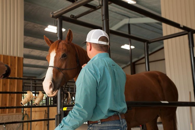 Horse Stock - Priefert – farmranchstore.com