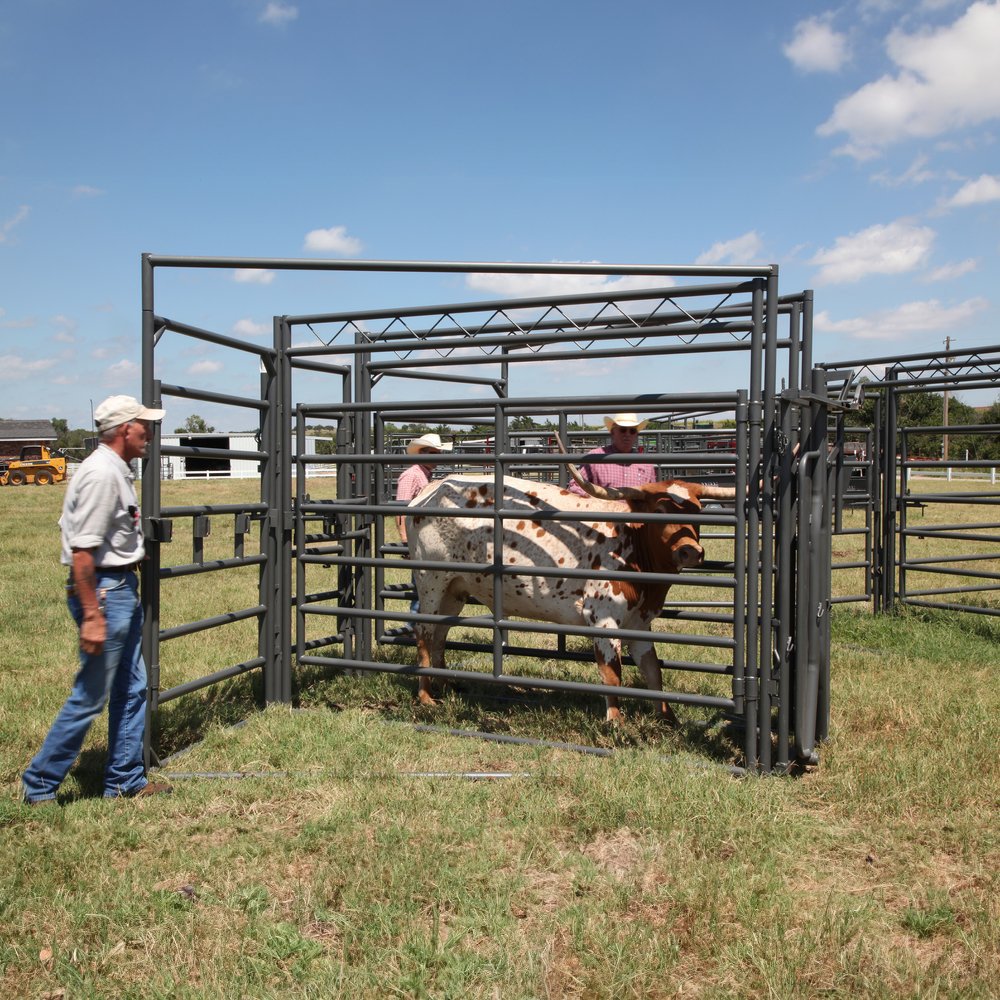 Longhorn Chute – farmranchstore.com